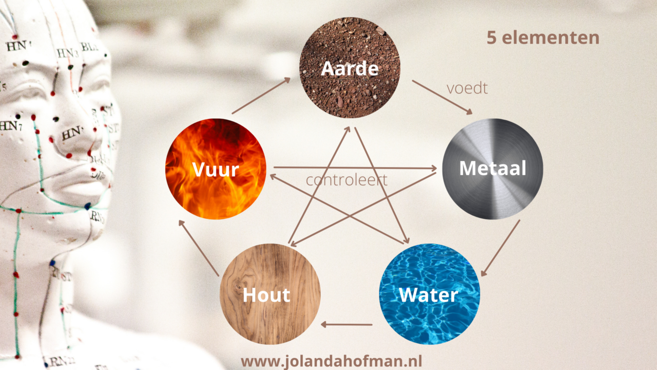 Vijf elementen Yin Yoga - Mentaal en Fysiek Vitaal met Jolanda